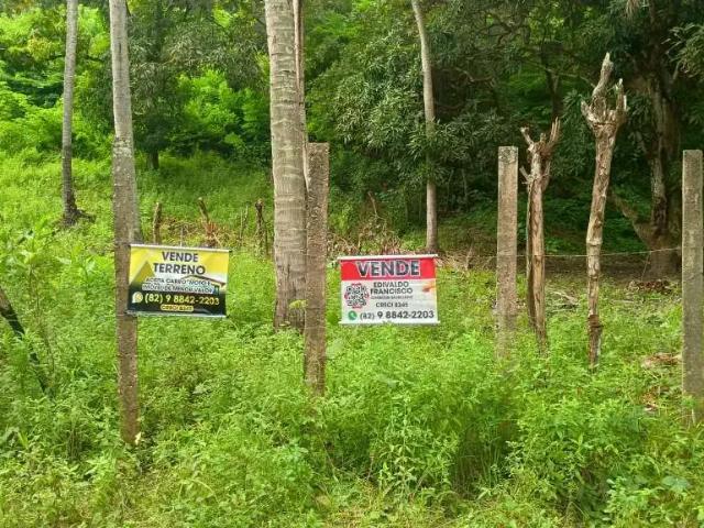 Terreno / Lote para Venda em Maceió/AL Cidade Universitária