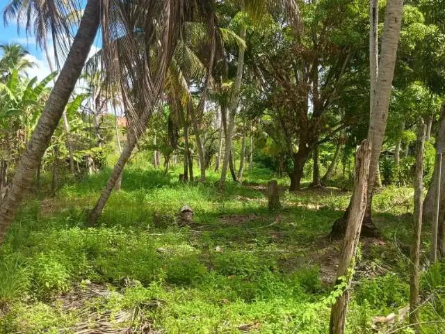 Terreno / Lote para Venda em Maceió/AL Ipioca