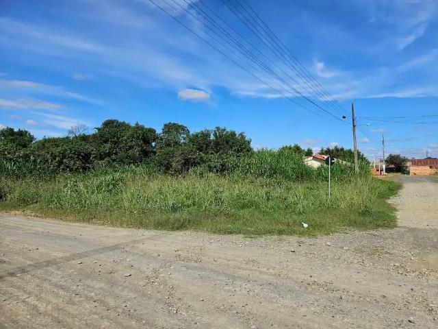 Terreno / Lote para Venda em Mafra/SC Vila Nova
