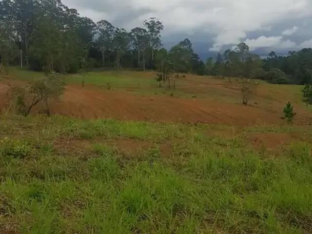 Terreno / Lote para Venda em Mairinque/SP Centro