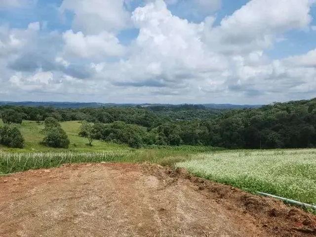 Terreno / Lote para Venda em Mairinque/SP Chácaras Manao