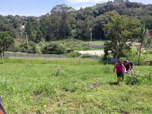 Terreno / Lote para Venda em Mairinque/SP Dona Catarina