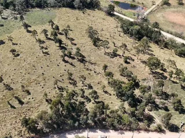 Terreno / Lote para Venda em Mairinque/SP Dona Catarina