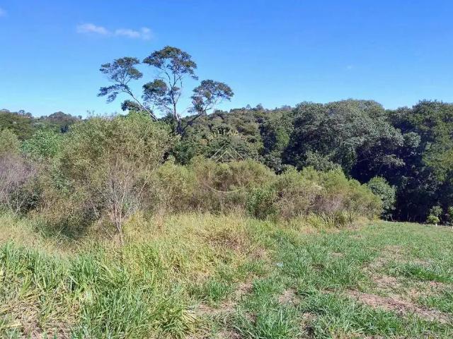 Terreno / Lote para Venda em Mairinque/SP Dona Catarina