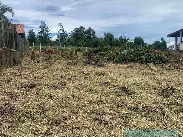 Terreno / Lote para Venda em Mairinque/SP Dona Catarina