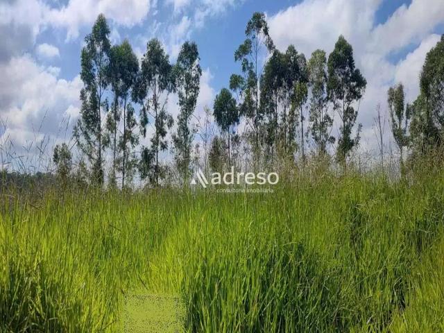 Terreno / Lote para Venda em Mairinque/SP Jardim Vitória