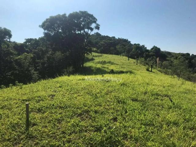 Terreno / Lote para Venda em Mairinque/SP Mato Dentro