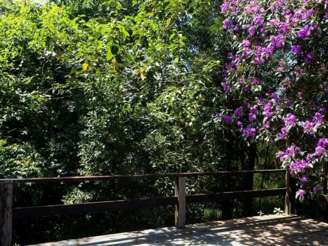 Terreno / Lote para Venda em Mairinque/SP Porta do Sol