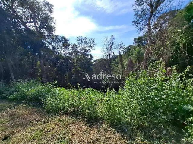 Terreno / Lote para Venda em Mairinque/SP Setúbal
