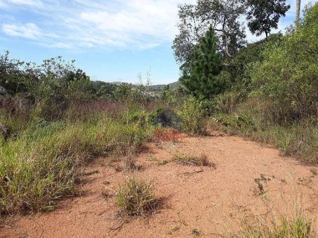 Terreno / Lote para Venda em Mairiporã/SP Terra Preta