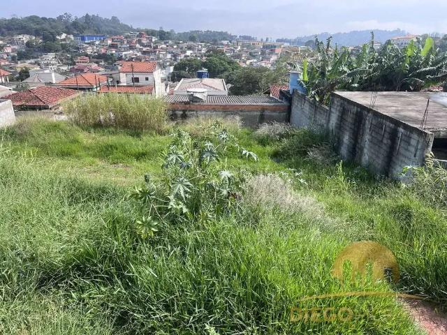 Terreno / Lote para Venda em Mairiporã/SP Terra Preta