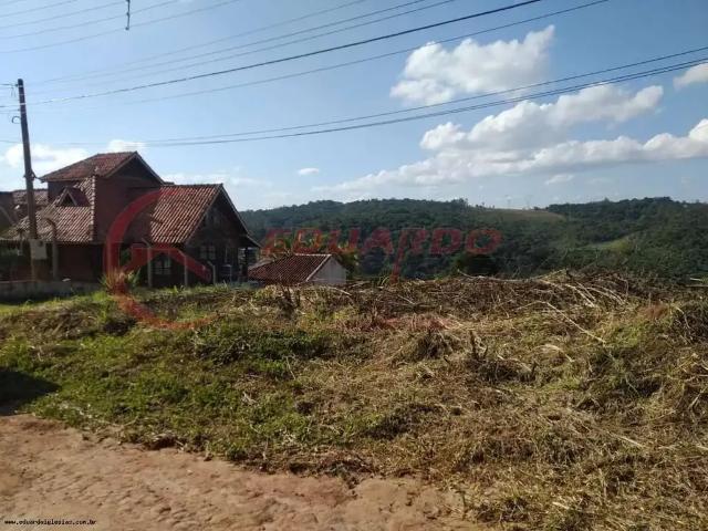 Terreno / Lote para Venda em Mairiporã/SP Terra Preta