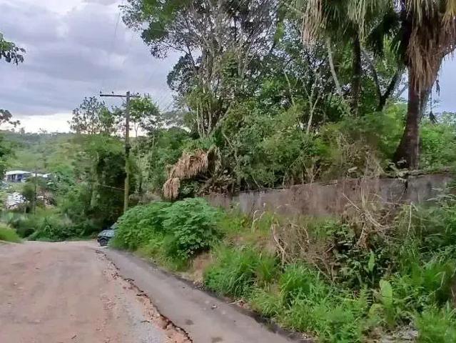 Terreno / Lote para Venda em Mairiporã/SP Terra Preta