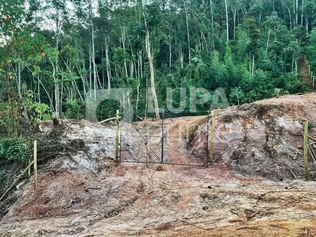 Terreno / Lote para Venda em Mairiporã/SP Terra Preta