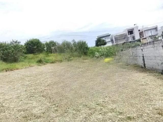 Terreno / Lote para Venda em Mairiporã/SP Terra Preta
