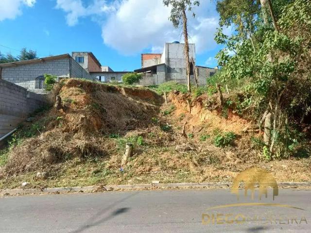 Terreno / Lote para Venda em Mairiporã/SP Terra Preta