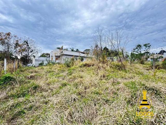 Terreno / Lote para Venda em Mairiporã/SP Terra Preta