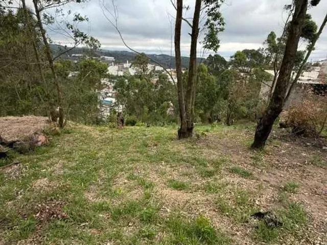 Terreno / Lote para Venda em Mairiporã/SP Terra Preta