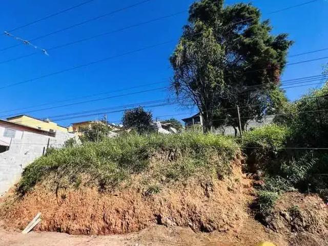 Terreno / Lote para Venda em Mairiporã/SP Terra Preta