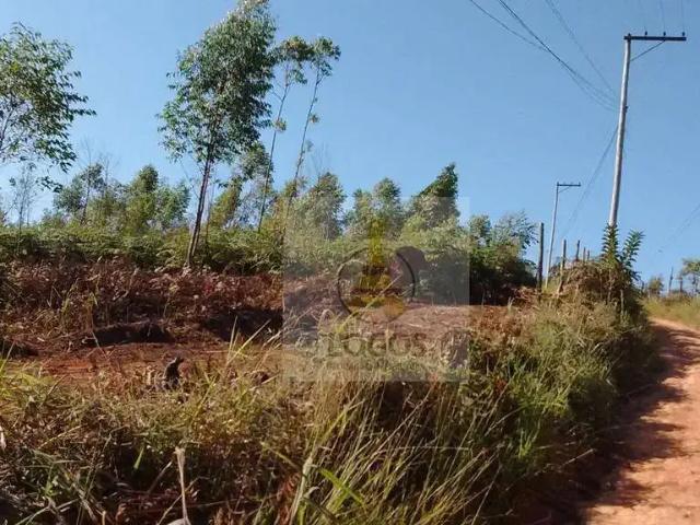 Terreno / Lote para Venda em Mairiporã/SP Terra Preta