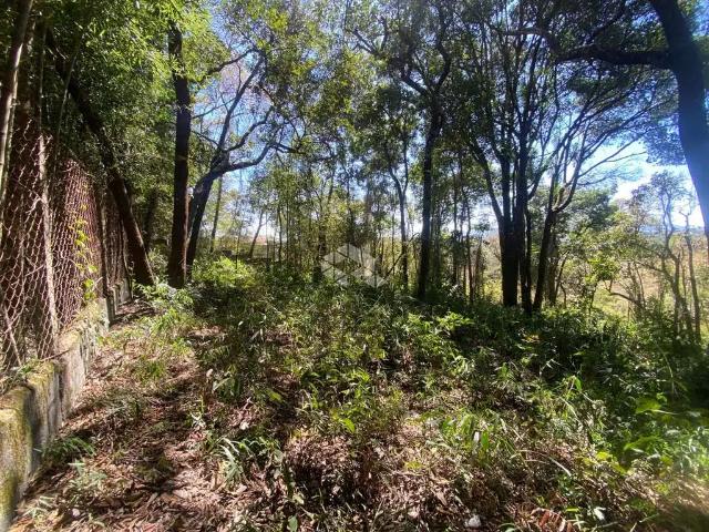 Terreno / Lote para Venda em Mairiporã/SP Terra Preta