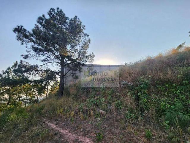 Terreno / Lote para Venda em Mairiporã/SP Terra Preta