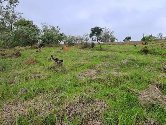 Terreno / Lote para Venda em Mairiporã/SP Terra Preta