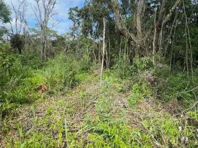 Terreno / Lote para Venda em Mairiporã/SP Terra Preta