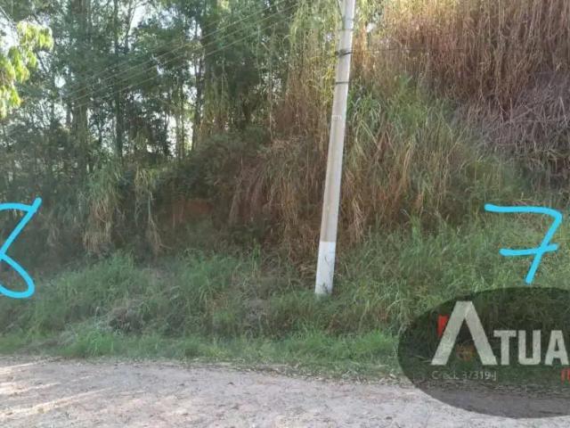 Terreno / Lote para Venda em Mairiporã/SP Terra Preta
