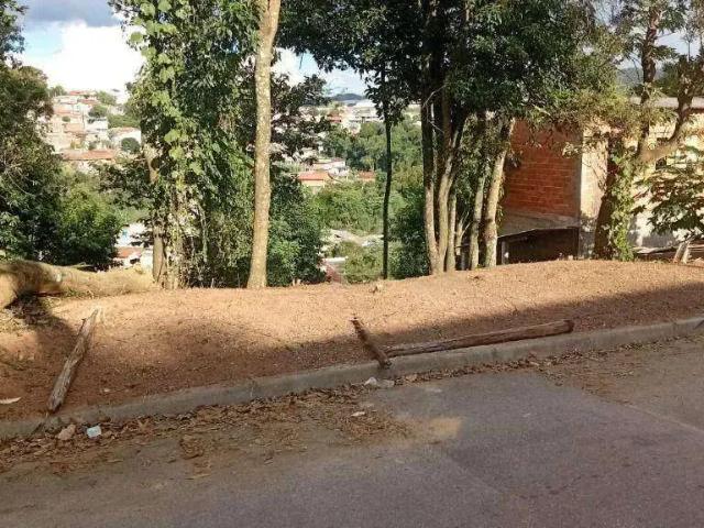 Terreno / Lote para Venda em Mairiporã/SP Terra Preta