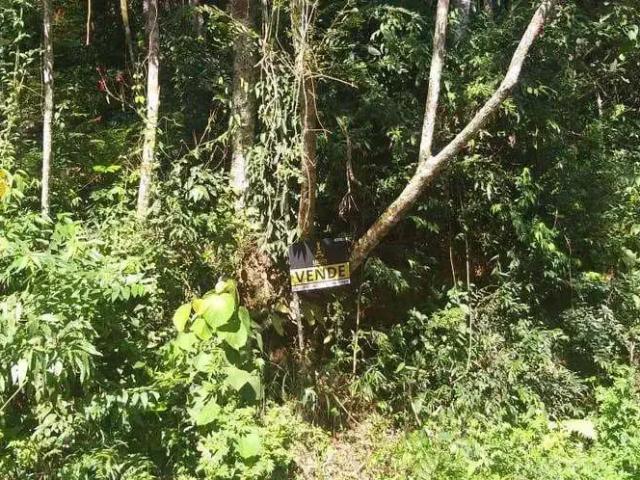 Terreno / Lote para Venda em Mairiporã/SP Vila Pedra Vermelha