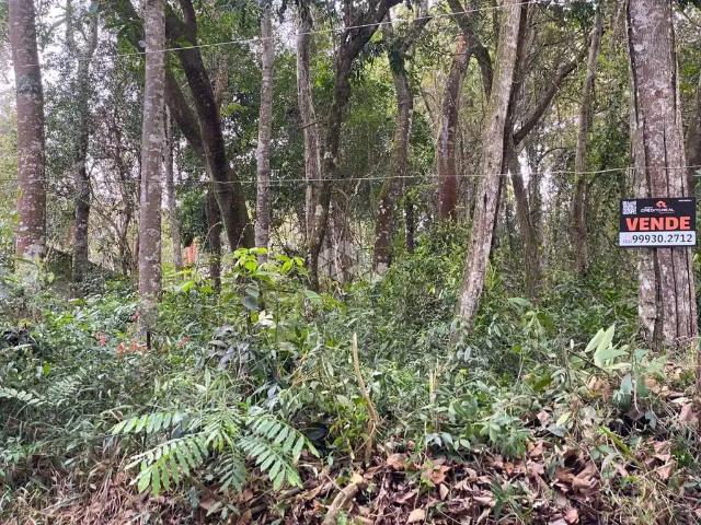 Terreno / Lote para Venda em Mairiporã/SP Alpes de Mairiporã