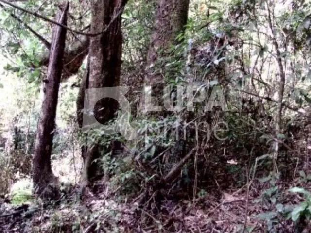Terreno / Lote para Venda em Mairiporã/SP Alpes de Mairiporã