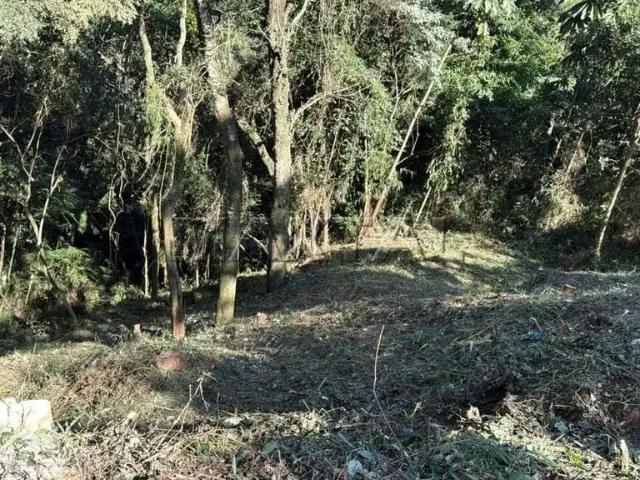 Terreno / Lote para Venda em Mairiporã/SP Alpes de Mairiporã