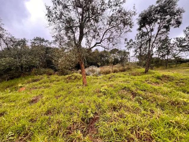 Terreno / Lote para Venda em Mairiporã/SP Jardim Suíço