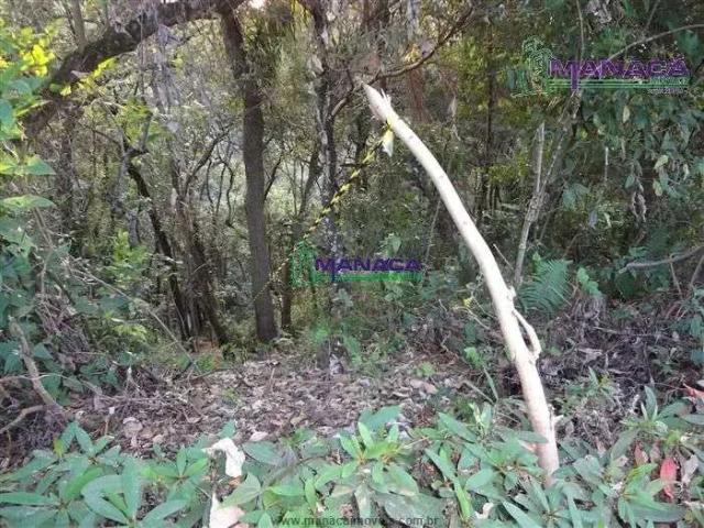 Terreno / Lote para Venda em Mairiporã/SP Campos de Mairiporã