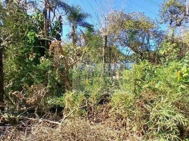 Terreno / Lote para Venda em Mairiporã/SP Cacéia