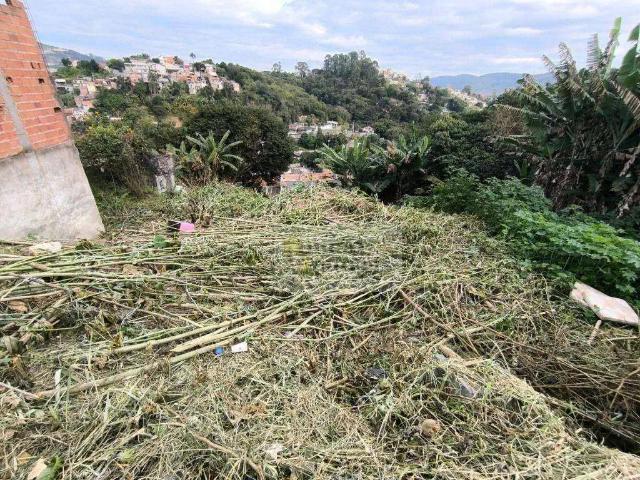 Terreno / Lote para Venda em Mairiporã/SP Capoavinha