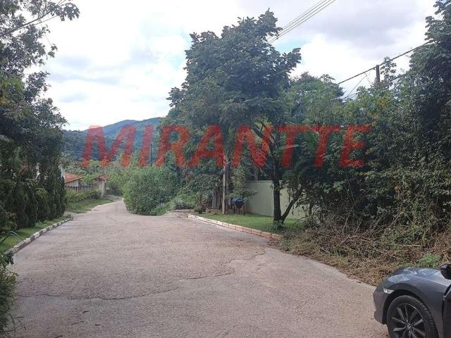 Terreno / Lote para Venda em Mairiporã/SP Caraguatá