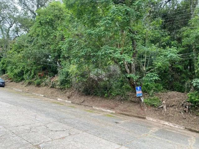 Terreno / Lote para Venda em Mairiporã/SP Caraguatá