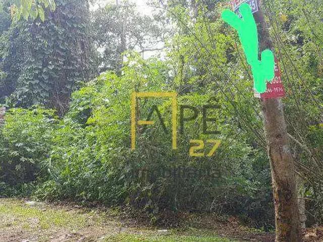 Terreno / Lote para Venda em Mairiporã/SP Caraguatá