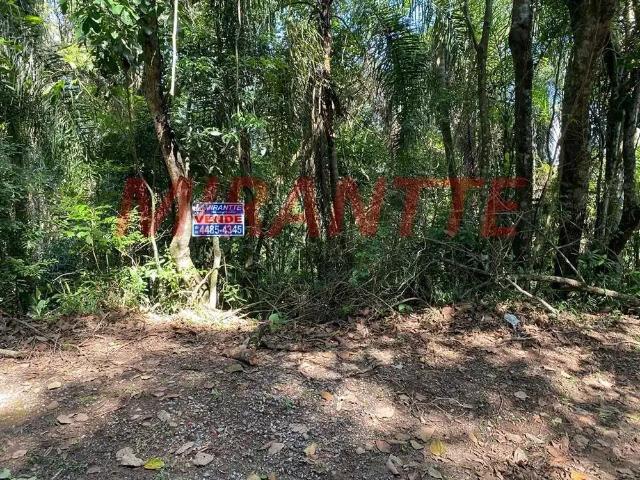 Terreno / Lote para Venda em Mairiporã/SP Caraguatá