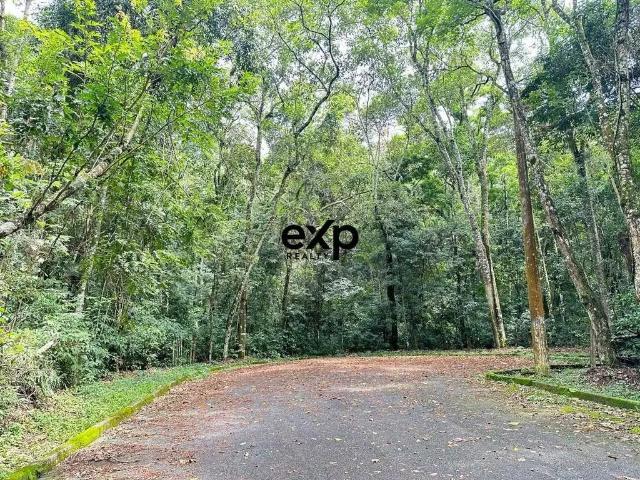 Terreno / Lote para Venda em Mairiporã/SP Caraguatá