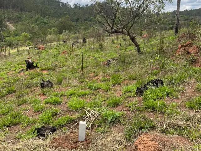 Terreno / Lote para Venda em Mairiporã/SP Centro