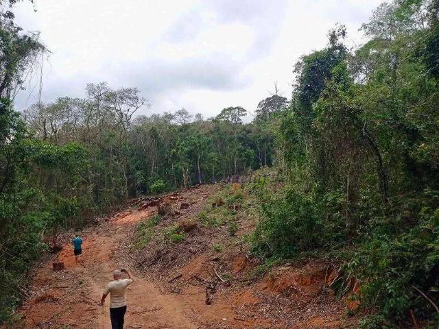 Terreno / Lote para Venda em Mairiporã/SP Centro