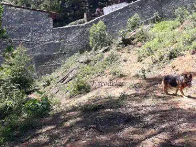Terreno / Lote para Venda em Mairiporã/SP Centro