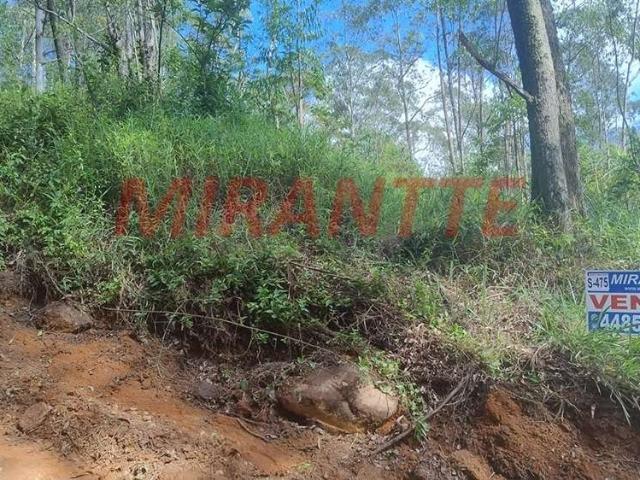 Terreno / Lote para Venda em Mairiporã/SP Centro