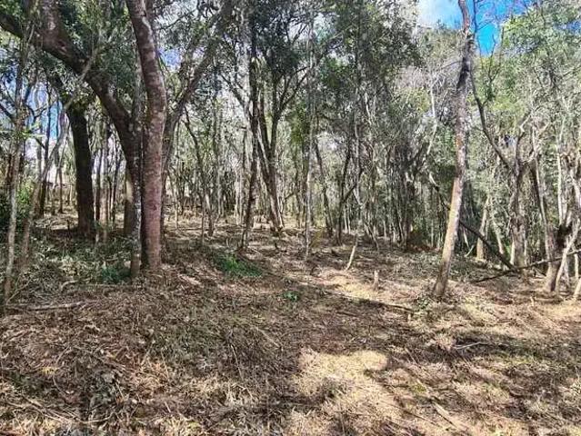 Terreno / Lote para Venda em Mairiporã/SP Jardim Cinco Lagos de Santa Maria