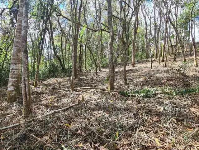 Terreno / Lote para Venda em Mairiporã/SP Jardim Cinco Lagos de Santa Maria