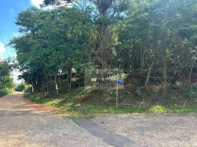 Terreno / Lote para Venda em Mairiporã/SP Jardim Bela Vista